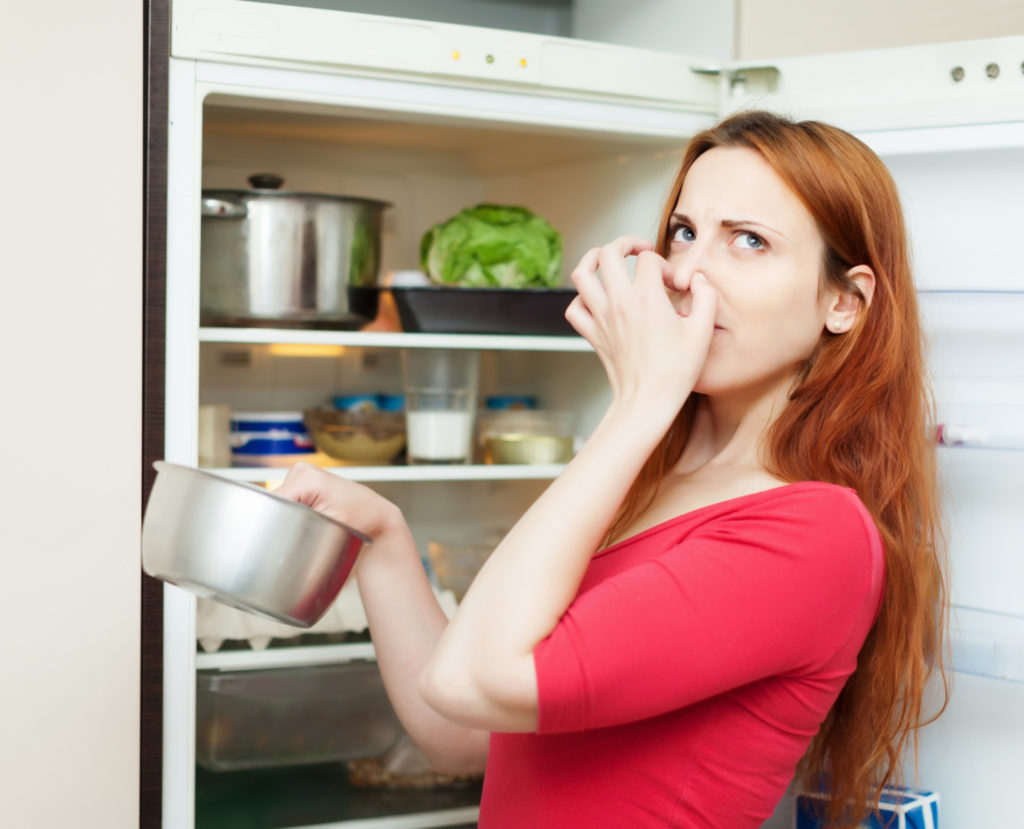 Caducidad de los alimentos. ¿Cuánto duran congelados? ¿Y en la nevera ...